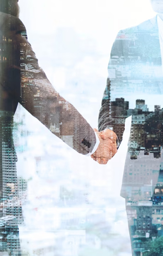 Perfectsource Consulting